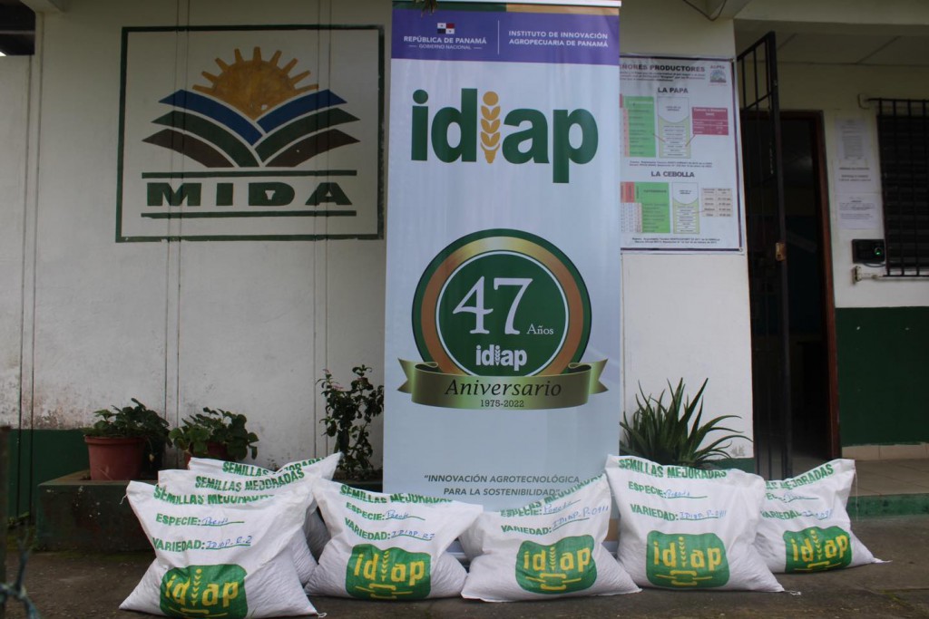 IDIAP INICIA LA ENTREGA DE SEMILLAS REGISTRADAS DE FRIJOL POROTO PARA SU MULTIPLICACIÓN EN ...