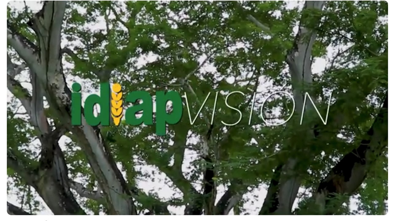 Instituto de Innovación Agropecuaria de Panamá