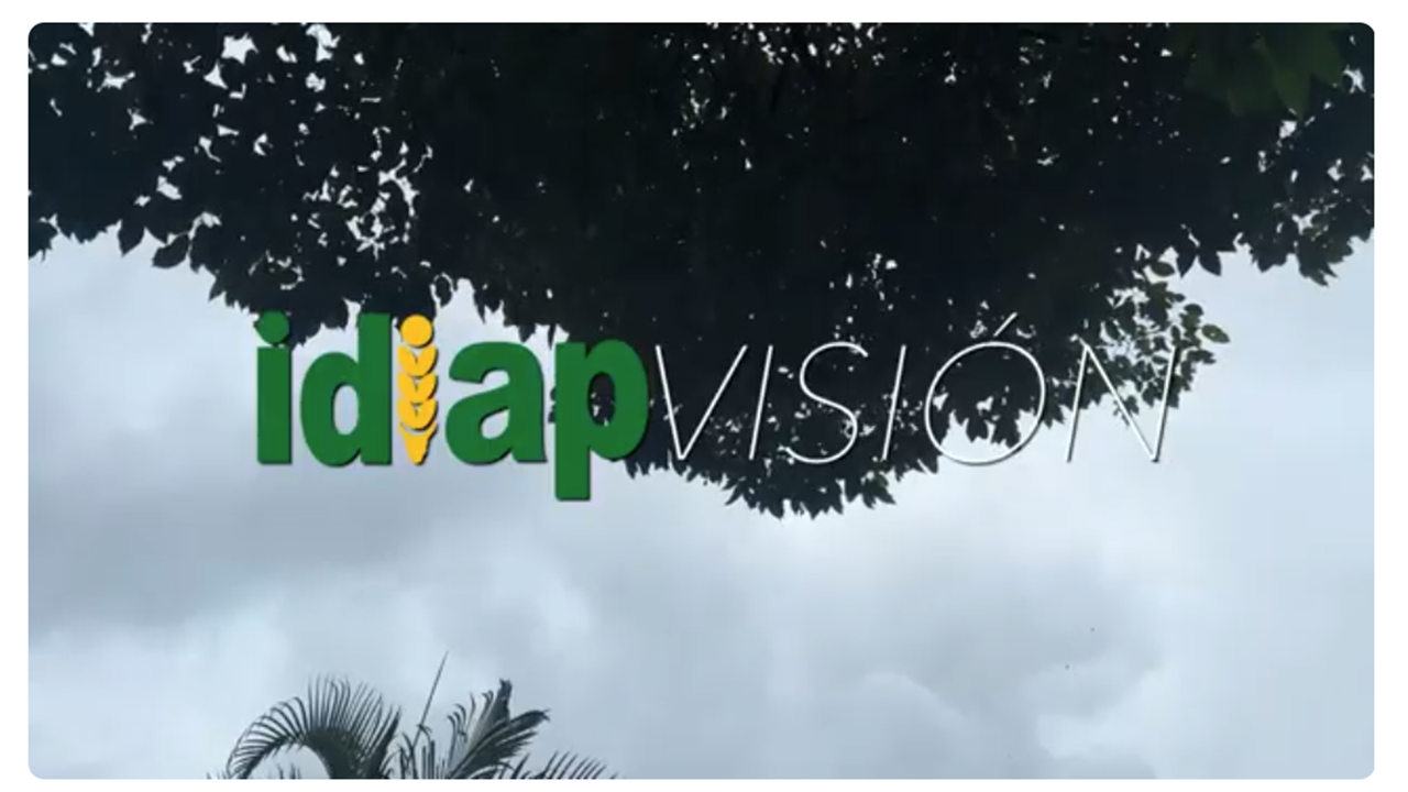 Instituto de Innovación Agropecuaria de Panamá